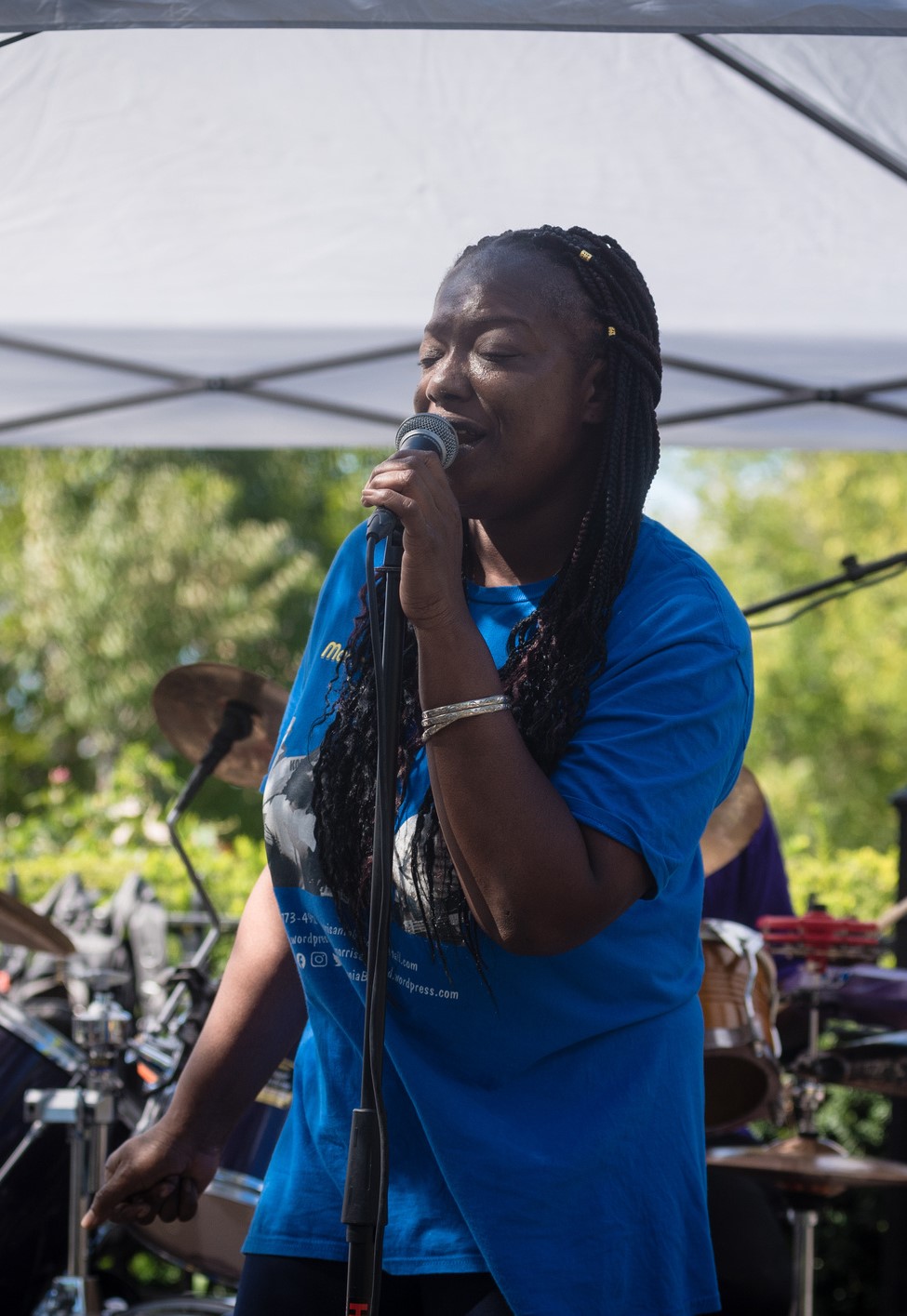 Bios – morrisaniaband